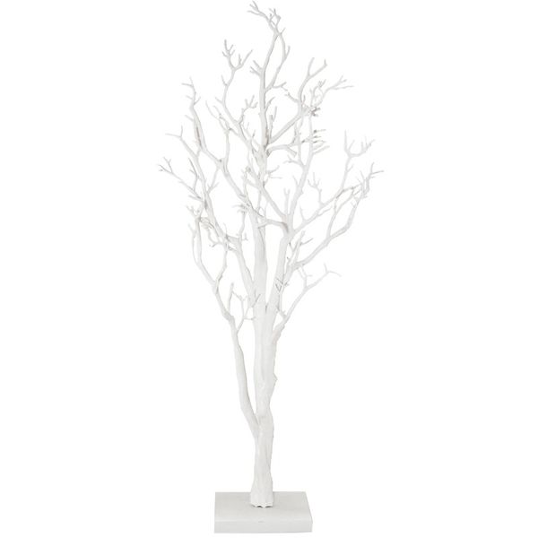 Giant White Manzanita Tree (5ft/153cm) | Easy Florist Supplies