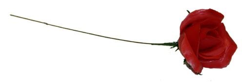Red Rose Pick (x100) | Easy Florist Supplies